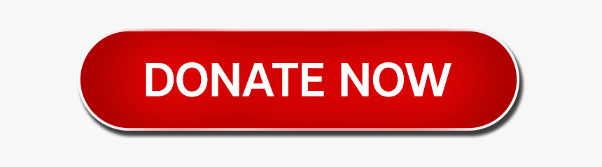 Donate Now, HD Png Download , Transparent Png Image - PNGitem