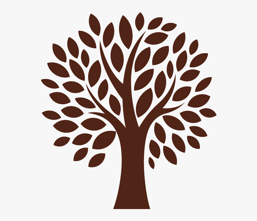 Tree With Four Branches, HD Png Download , Transparent Png Image - PNGitem