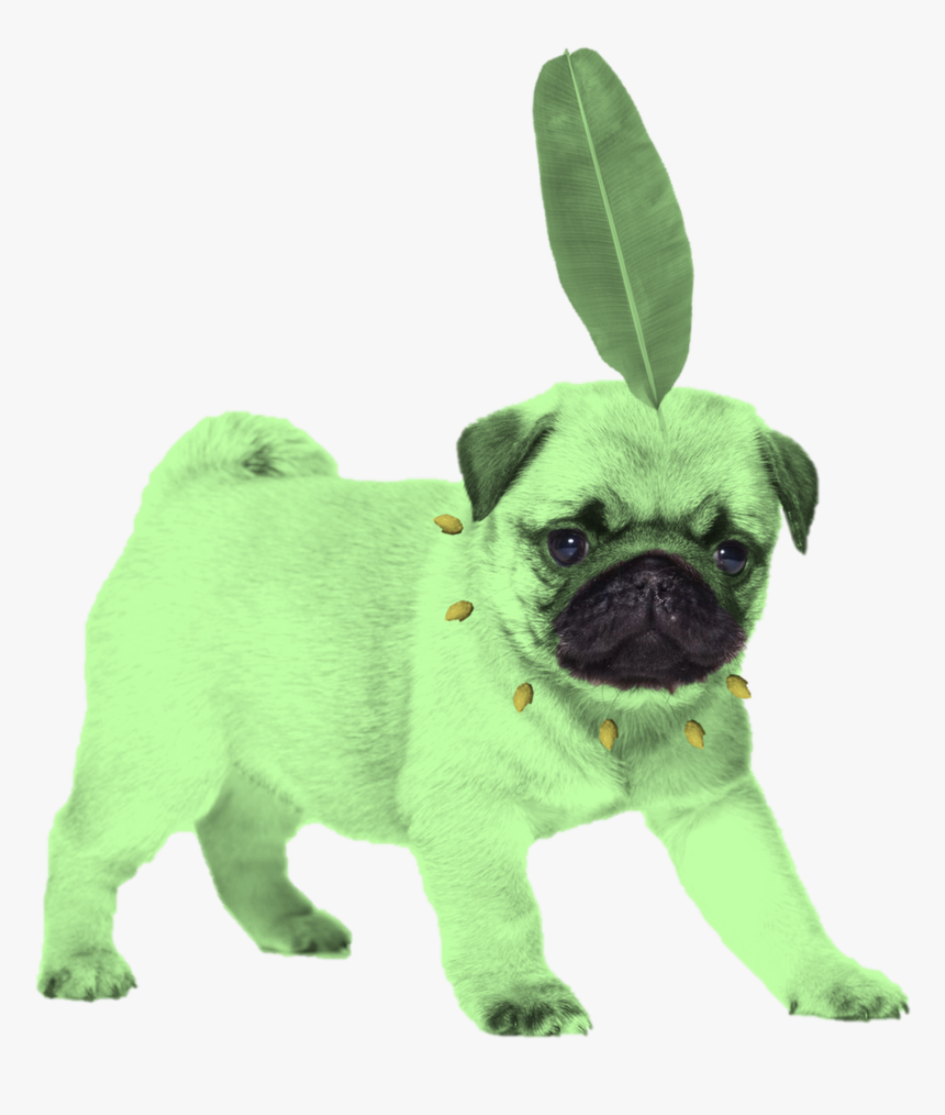 Anatomy Of A Doggo, HD Png Download , Transparent Png Image - PNGitem