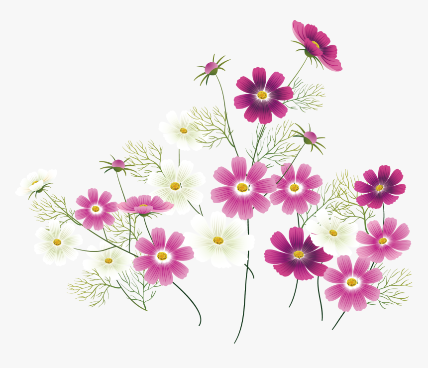 Transparent Wild Flower Clipart - Pink Wildflower Clipart, HD Png ...