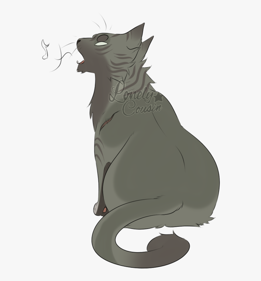 Tumblr Transparent Cat