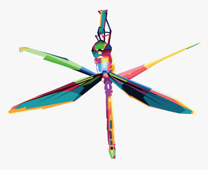 Transparent Dragonfly Wings Png - Geometry Of Dragon Fly, Png Download ...