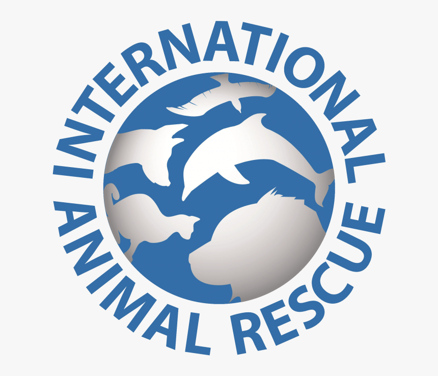 International Animal Rescue, HD Png Download , Transparent Png Image ...