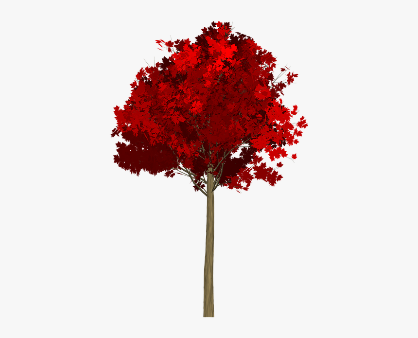 Maple, Tree, Painted Tree, Red, Nature, Image Painting - Tree Red Png ...