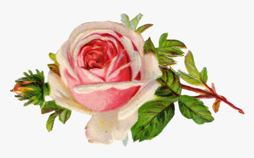 Free Rose Clip Art - Free Victorian Flower Clipart, HD Png Download ...