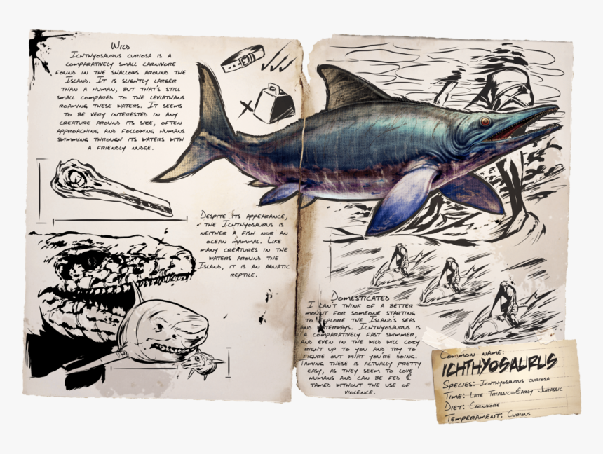 Sea Creatures In Ark, HD Png Download , Transparent Png Image - PNGitem