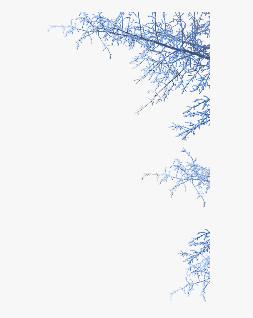 Winter Png - Png Winter - Winter Png, Transparent Png , Transparent Png ...