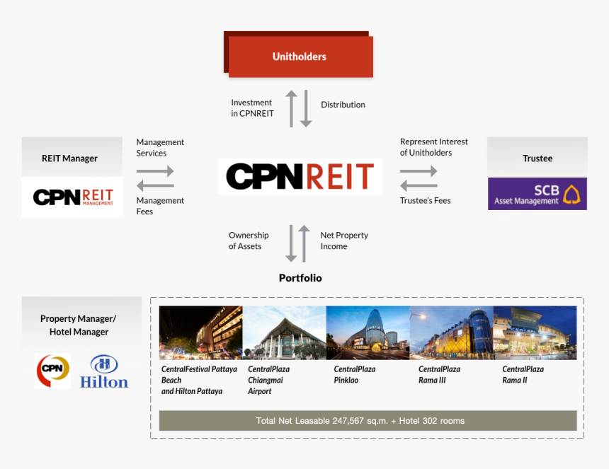 Cpn, HD Png Download , Transparent Png Image - PNGitem