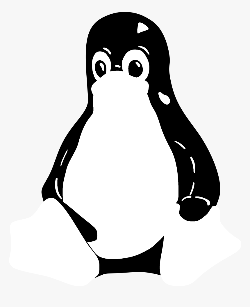 Linux Penguin, HD Png Download , Transparent Png Image - PNGitem