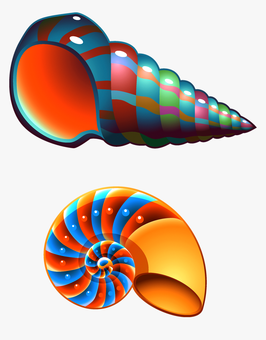Clipart Shells