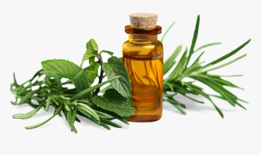 Essential Oil - Essential Oils Png, Transparent Png , Transparent Png ...