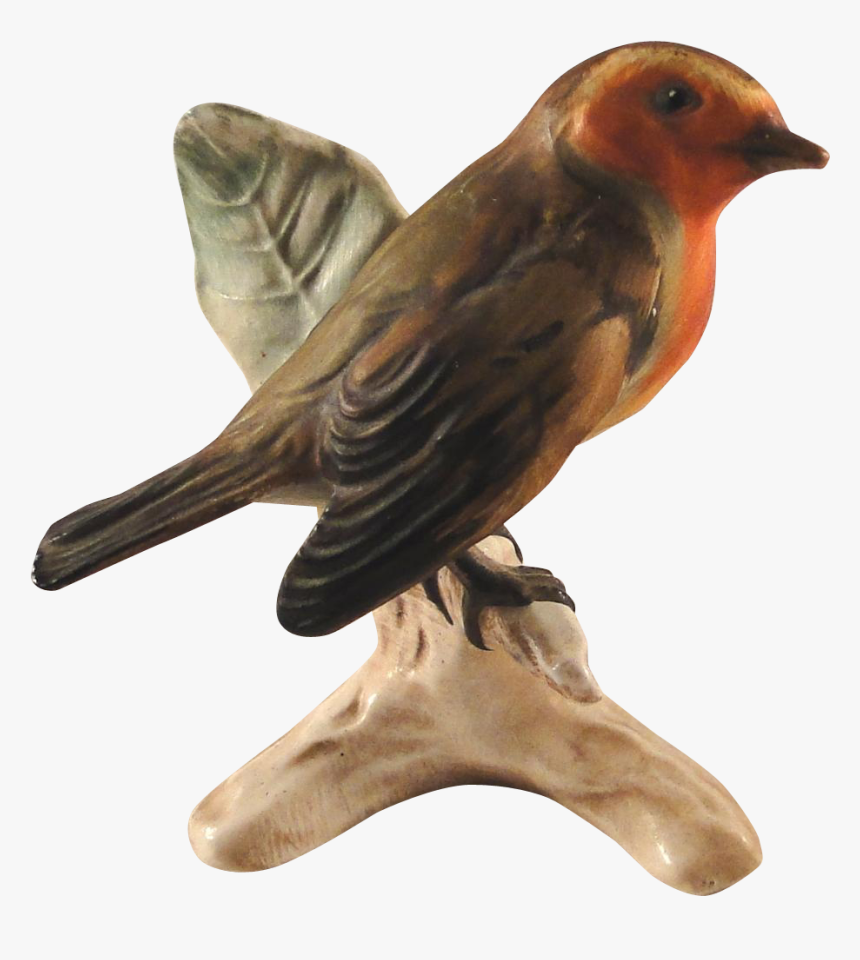 European Robin, HD Png Download , Transparent Png Image - PNGitem