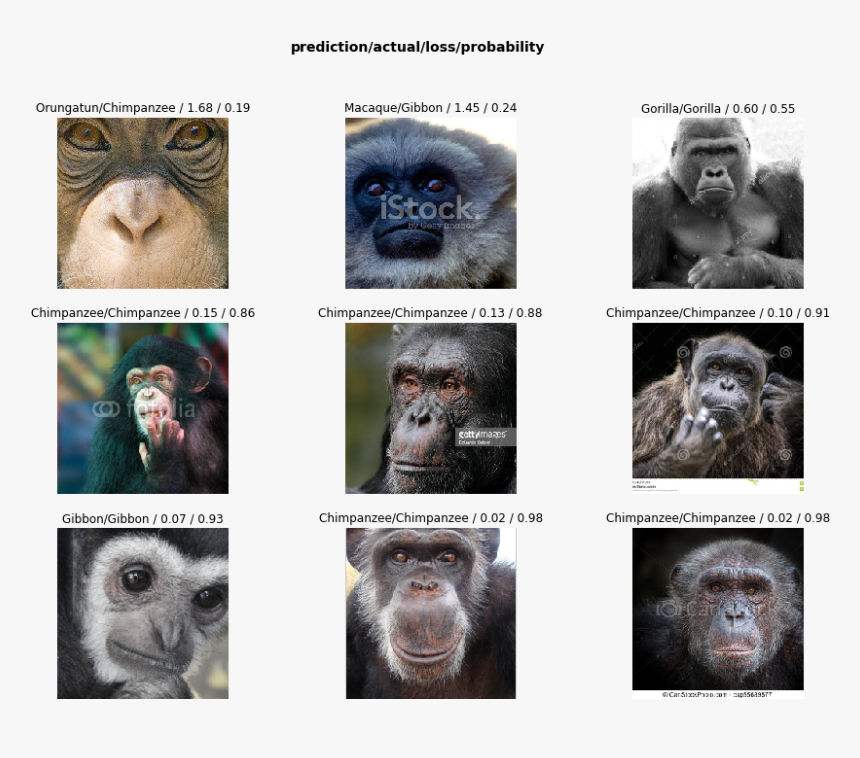 Monkey Dataset, HD Png Download , Transparent Png Image - PNGitem