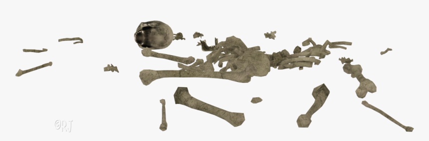 Transparent Pile Of Bones Png, Png Download , Transparent Png Image ...