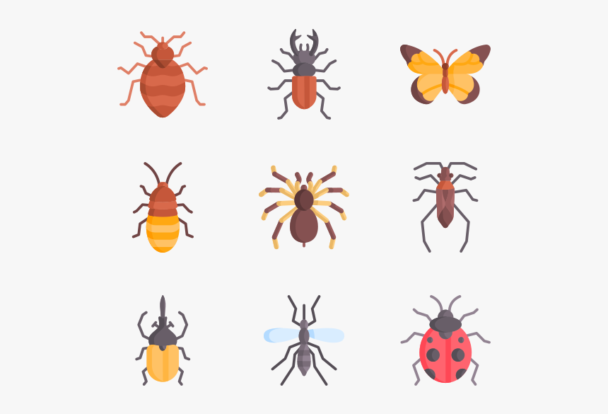 Weevil, HD Png Download , Transparent Png Image - PNGitem