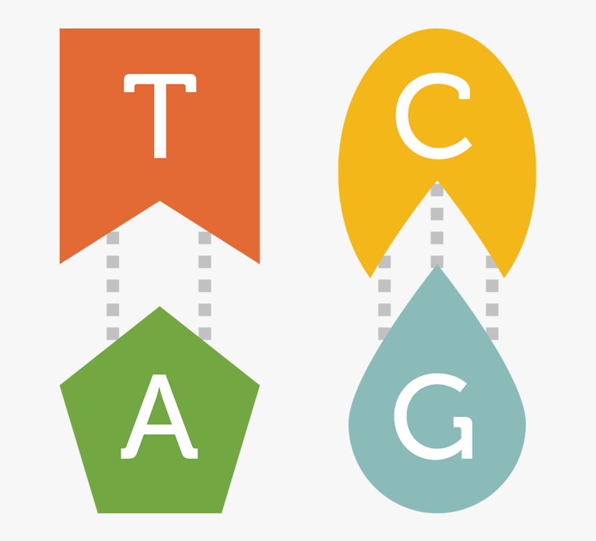 Explosion Png Sequence, Transparent Png , Transparent Png Image - PNGitem