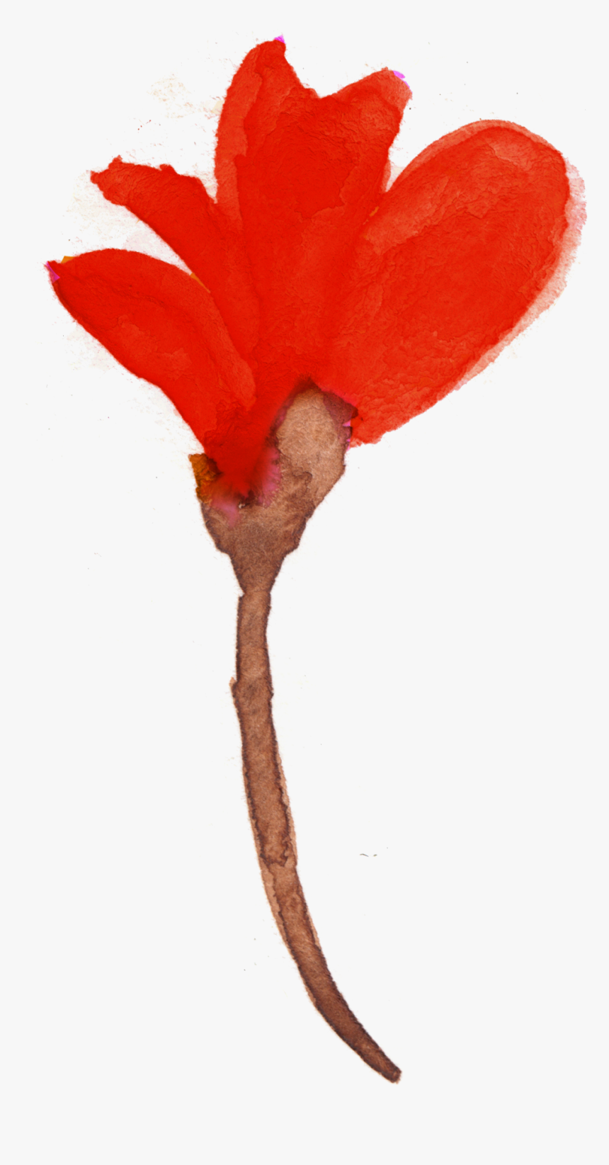 Free Watercolor Floral Elements- Pretty - Red Plant Watercolor Png ...