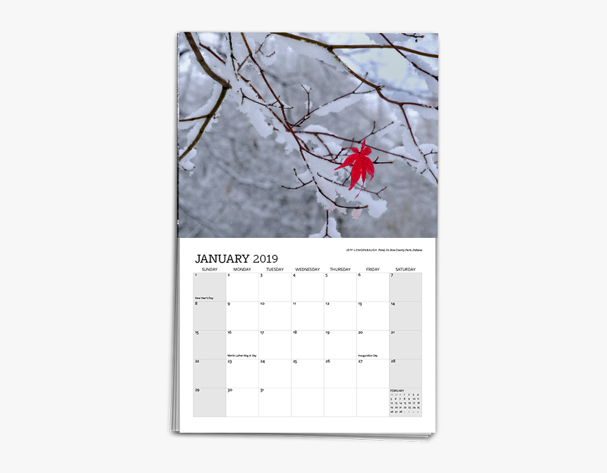 Calendar Template 2019 - Maple, HD Png Download , Transparent Png Image ...