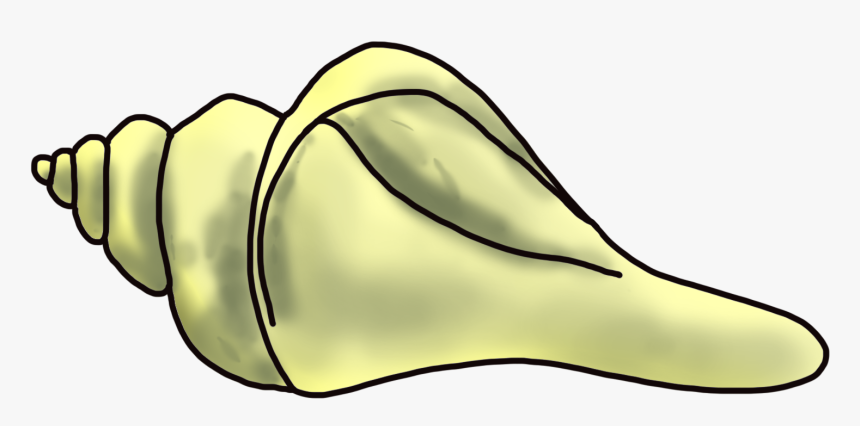 Cartoon Sea Snail Clip Art - Cartoon Conch, HD Png Download ...