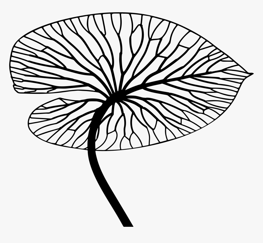 Detailed Leaf Line Art Clip Arts - Clipart Leaf Png Black And White ...