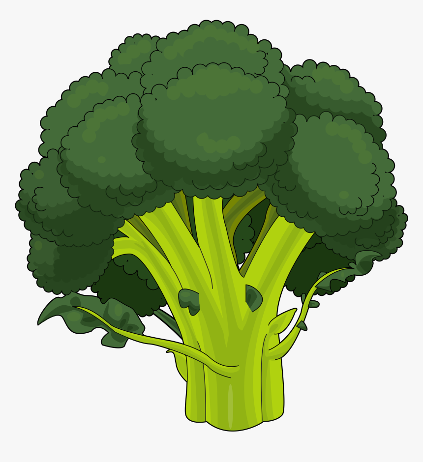 Broccoli Drawing