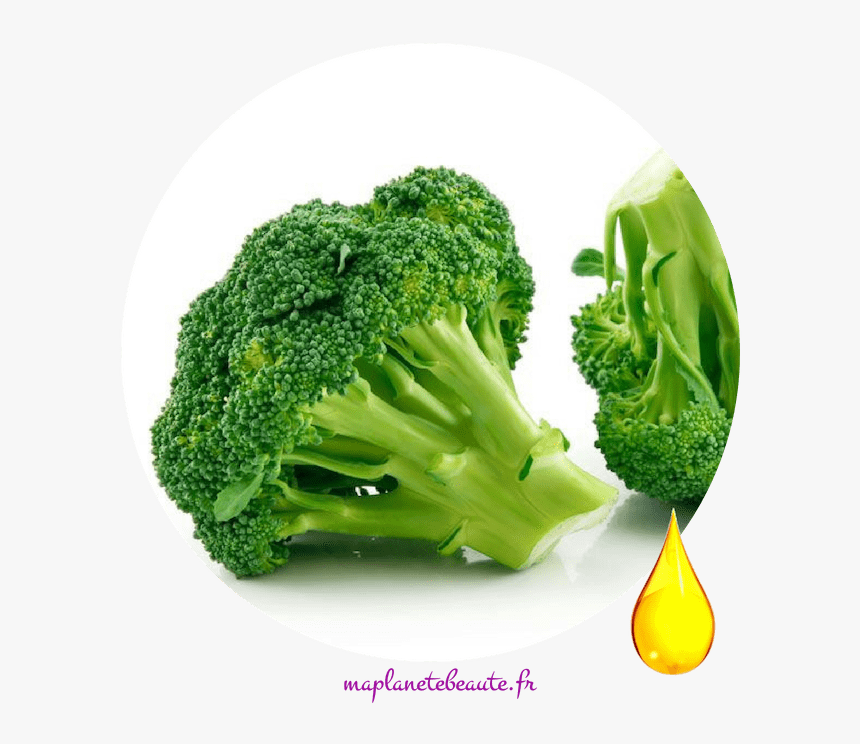 Bitter Foods Clipart