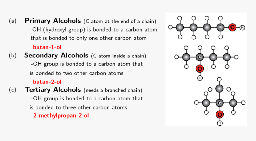 Grade 12 Organic Molecules, HD Png Download , Transparent Png Image ...
