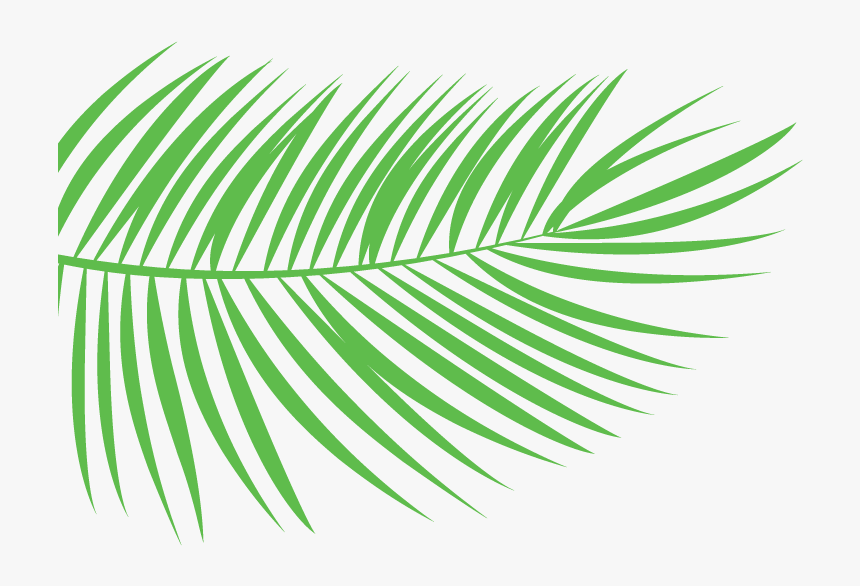 Transparent Reeds Png, Png Download , Transparent Png Image - PNGitem