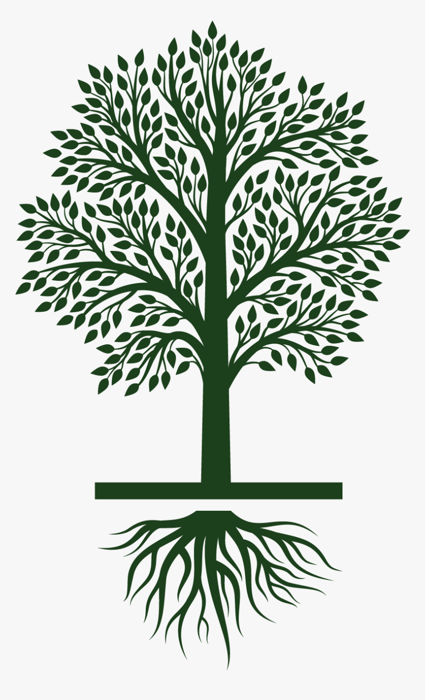 Tree Growing Clipart, HD Png Download , Transparent Png Image - PNGitem