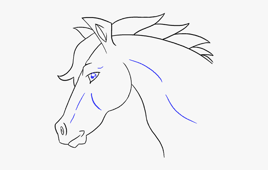 Horse Face Illustration