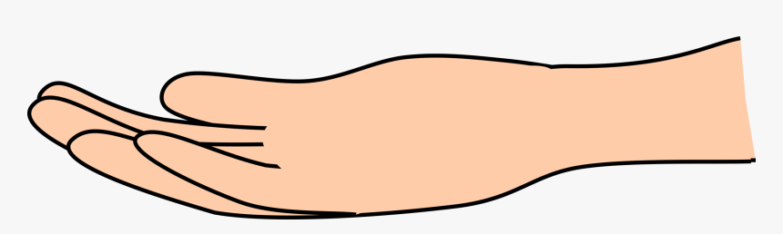 Skin Clipart The Cay - Skin Clipart, HD Png Download , Transparent Png ...