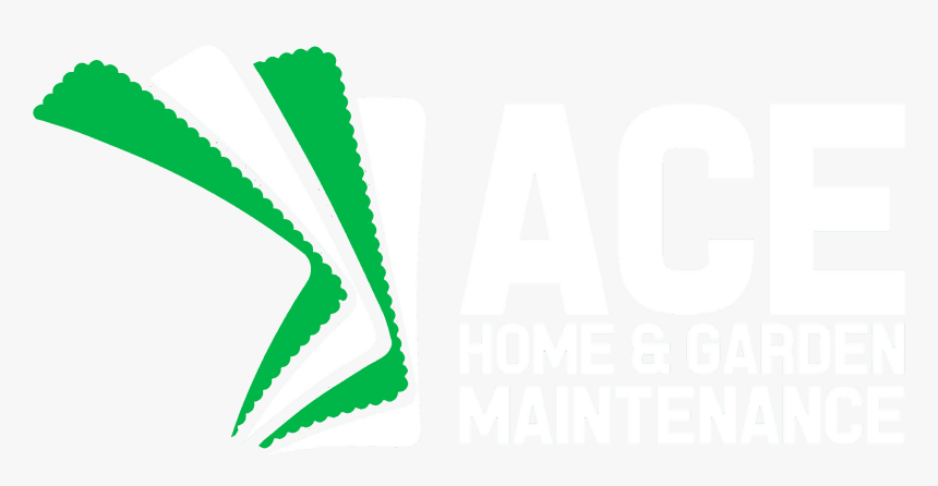 Ace Logo Transparent - Graphics, HD Png Download , Transparent Png ...