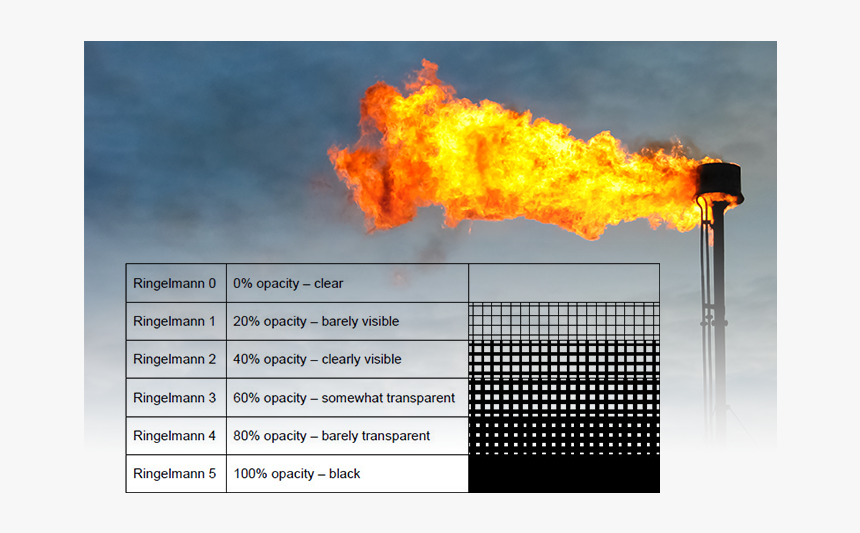 Ringelmann Numbering scale : 네이버 블로그