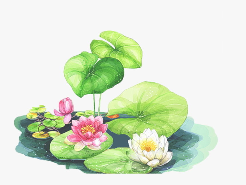856 X 566 - Drawing For 3d Lotus, HD Png Download , Transparent Png ...