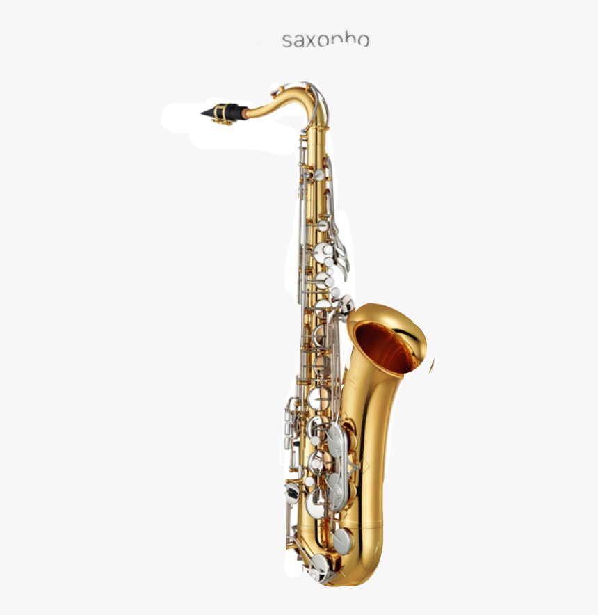Tenor Saxophone, HD Png Download , Transparent Png Image - PNGitem