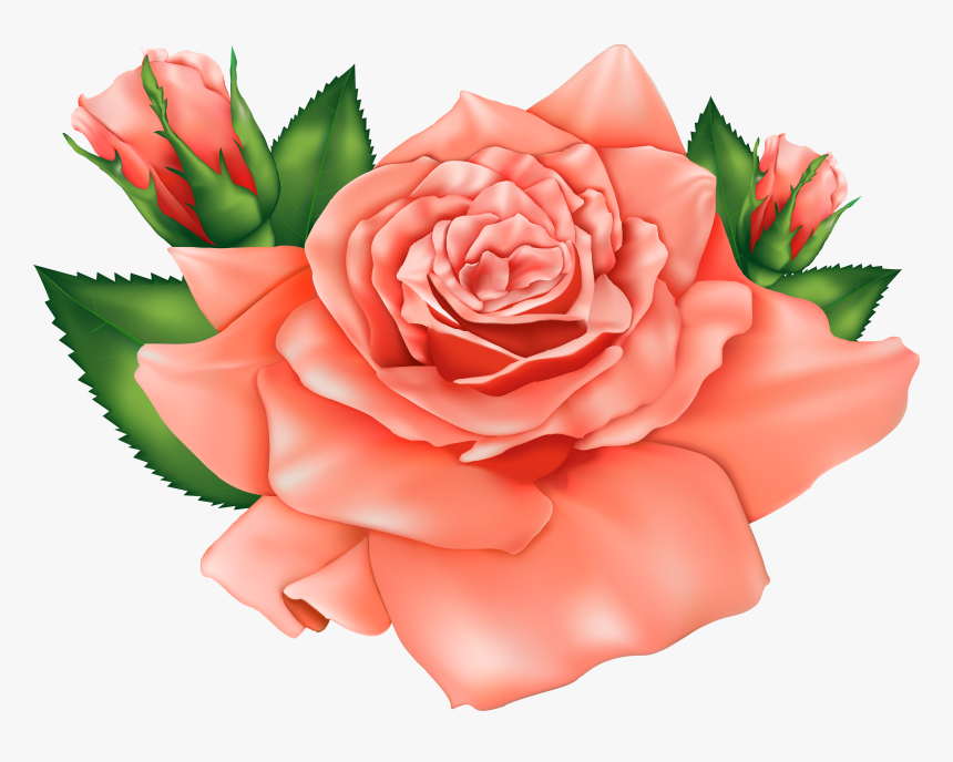Peach Flower Clip Art