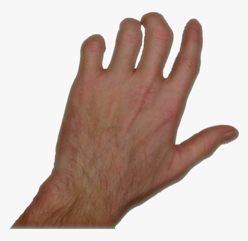 Skin Clipart Two Hand Print - Left Hand Png, Transparent Png ...