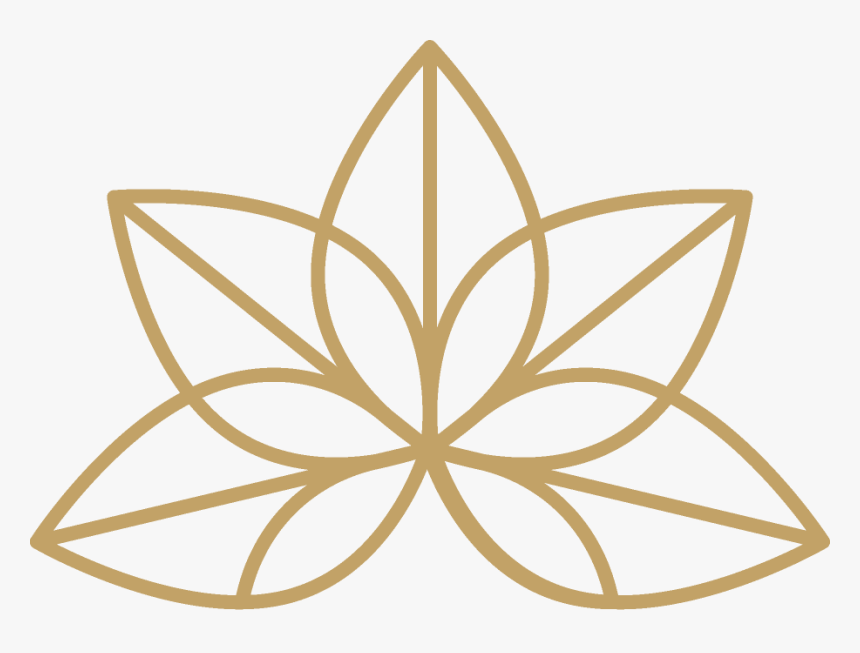 Vector Graphics, HD Png Download , Transparent Png Image - PNGitem