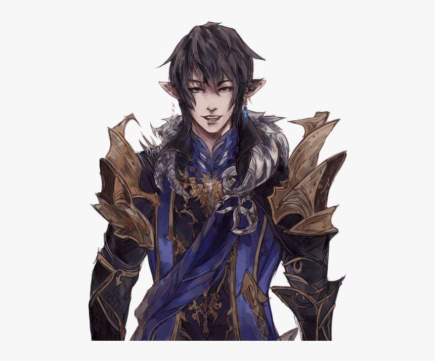 Ffxiv Fanart Ser Aymeric, HD Png Download , Transparent Png Image - PNGitem