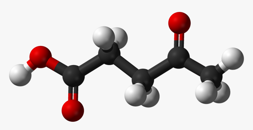 File - Levulinic Ac - Fumaric Acid Molecular Model, HD Png Download ...