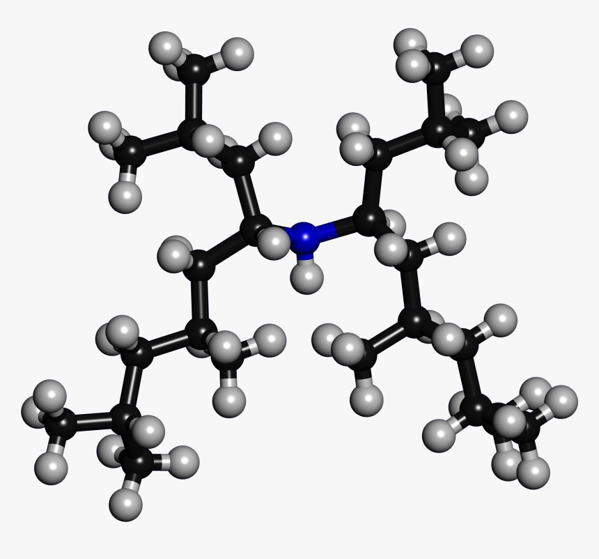 Amine S 24 3d Model Bonds - Amines 3d, HD Png Download , Transparent ...