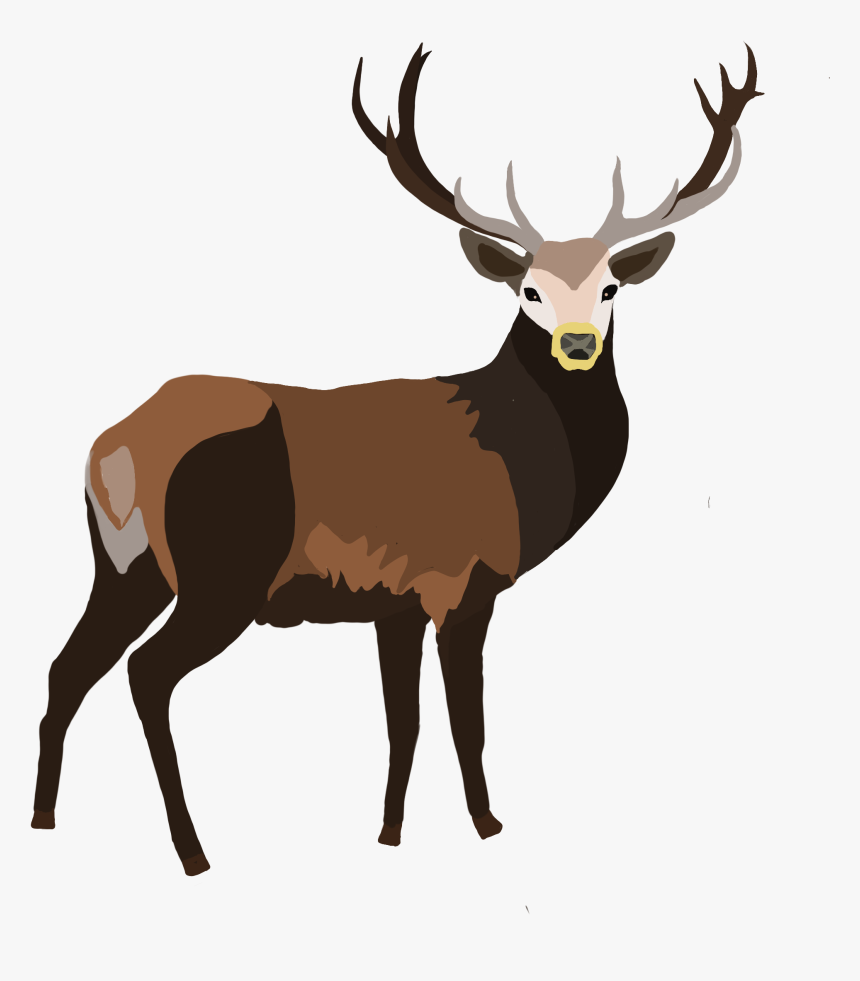 Stag - Stag Cartoon Png, Transparent Png , Transparent Png Image - PNGitem