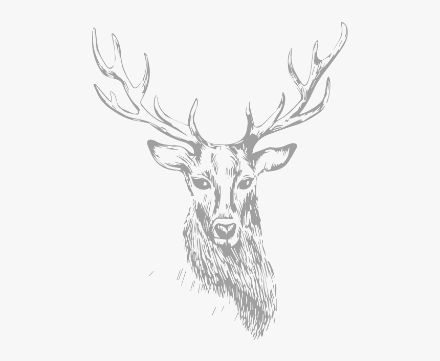 Stag - Stag Png Transparent, Png Download , Transparent Png Image - PNGitem
