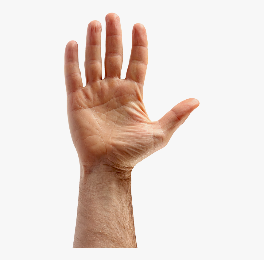 Hurt Hand Png - Hurt Hand Transparent, Png Download , Transparent Png ...