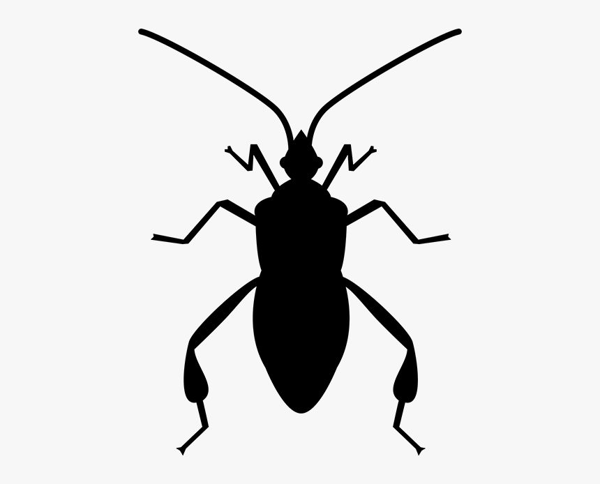 Transparent Png Bug Vector, Png Download , Transparent Png Image - PNGitem