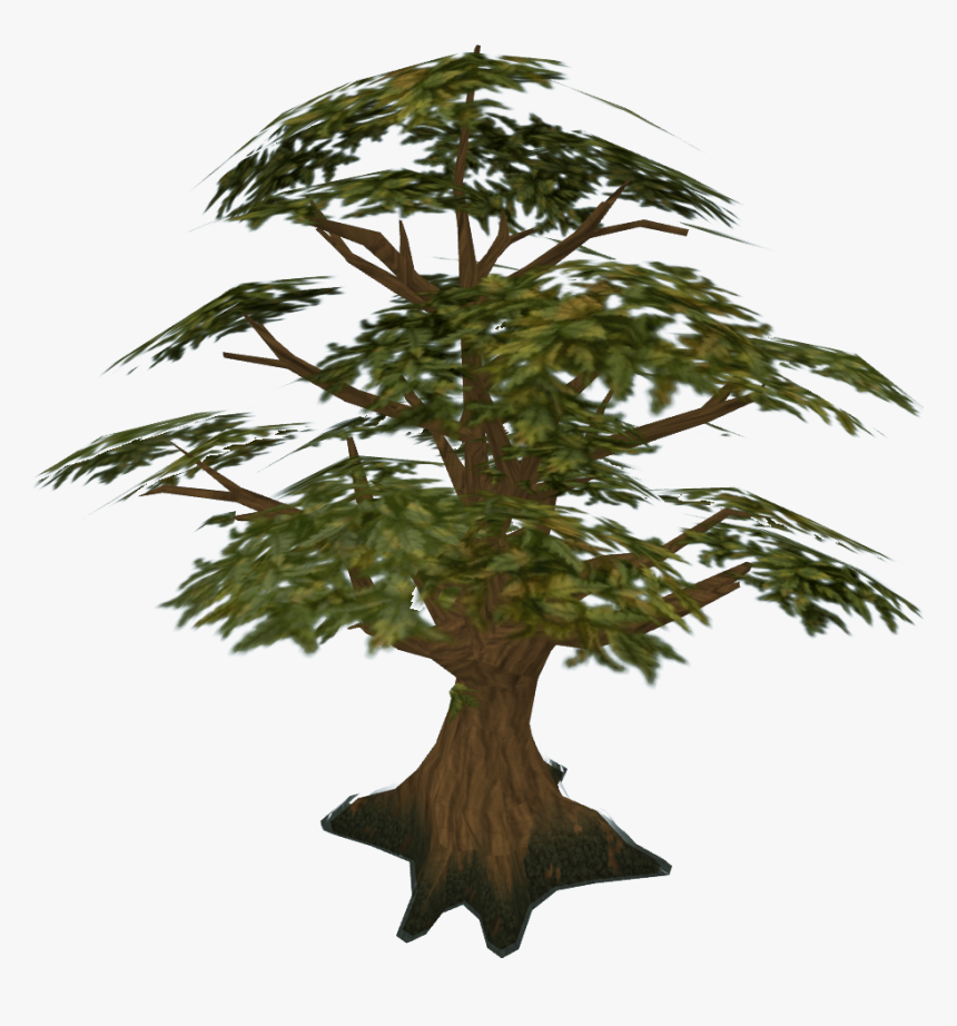 Palm Tree Drawing On Wood, 3d - Oak Tree Runescape, HD Png Download ...