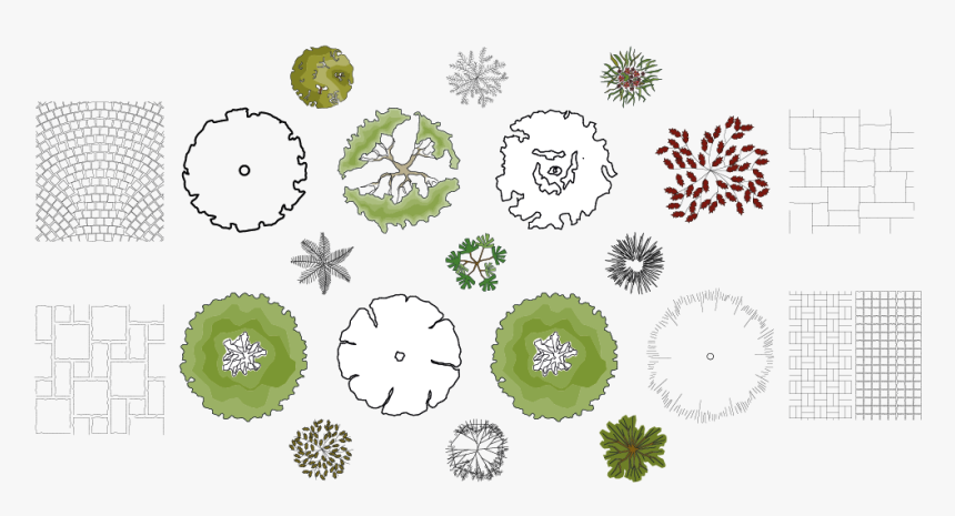 Plants Architecture Plan