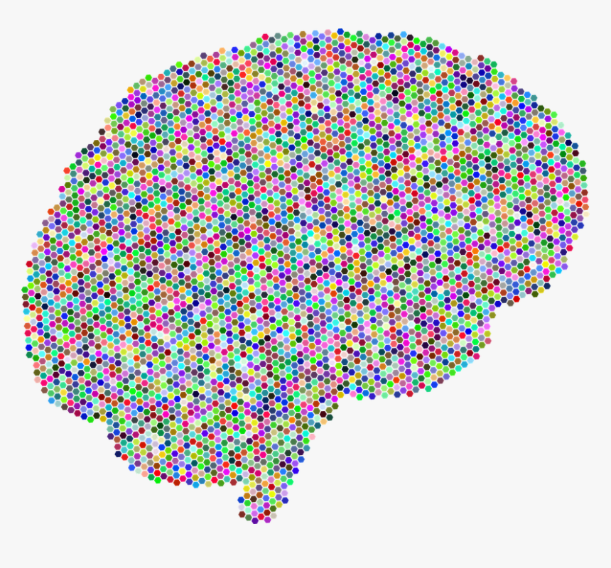 Brain, A, I, Ai, Anatomy, Artificial Intelligence - Brain Intelligence ...