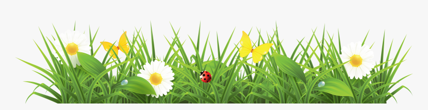 Grass Png Image, Green Picture - Spring Vector Free, Transparent Png ...