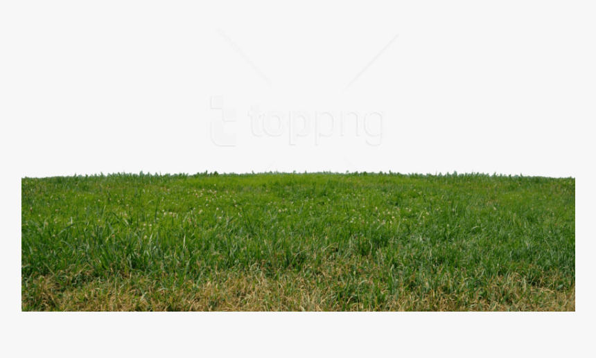 Transparent Grass Background Png - Land Background Png, Png Download ...